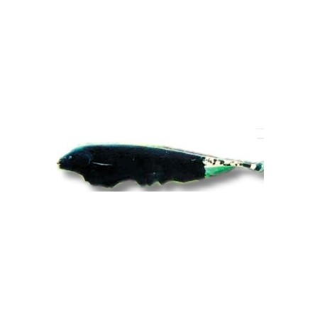 Poisson couteau ou Apteronotus albifrons - Miniaqua77